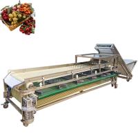 China Red Dates Size Sorting Machine for Customized 4-7 Grades Palm Dates Classification for sale