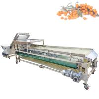China Good Performance Passion Fruit Grading Machine for Fruit Processing Requirements for sale