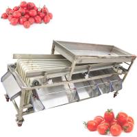 China Good Performance Passion Fruit Grading Machine for Fruit Processing Requirements for sale