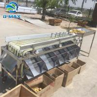 China Good Performance Passion Fruit Grading Machine for Fruit Processing Requirements for sale