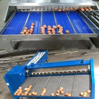 China Egg Grading Machine with Egg Lifter and Duck Egg Sorter 200W Capacity 5400 eggs/h for sale
