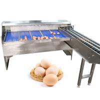 China Stainless Steel 304 Egg Weighing Grading Machine Chicken Egg Sorter with Inspection for sale