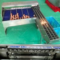 China Stainless Steel 304 Egg Weighing Grading Machine Chicken Egg Sorter with Inspection for sale
