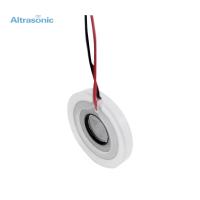 China Piezoelectric Nebulizer Ceramic Disc Ultrasonic Atomization Sheet Chip Microporous for sale