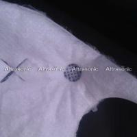 China 50 / 60HZ Ultrasonic Riveting Automatic Machine Aluminium Pen Type Multi Point Tip for sale