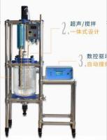 China Small Ultrasonic Homogeniser , Ultrasonic Sonochemistry System For Herbal Extraction for sale