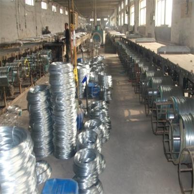 China Electro Galvanized Wire for sale