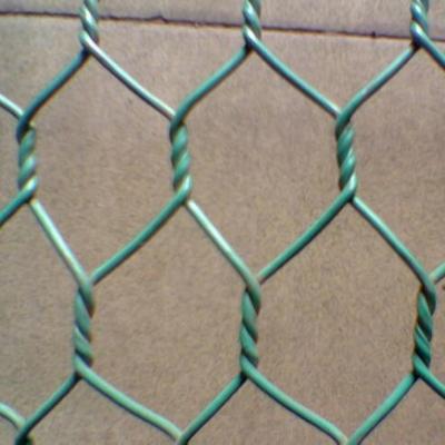 China Chicken Wire  PVC Coat Chicken Wire Pvc coating hexagonal wire mesh chicken wire netting for sale