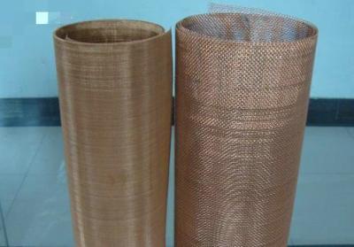 China China Phosphor Bronze Wire Mesh for sale