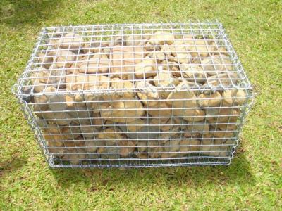 China Welded Gabion Box,  Main Materials of Hesco Barrier in Military, Low Price for sale