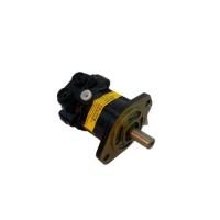 China New Condition Sany Hydraulic Fan Motor Pump 60248398 14531612 Gear Pumps SY650 SY700 SY750 SY500 SY460 SY485 SY550 SY375 for sale