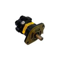 China New Condition Sany Hydraulic Fan Motor Pump 60248398 14531612 Gear Pumps SY650 SY700 SY750 SY500 SY460 SY485 SY550 SY375 for sale