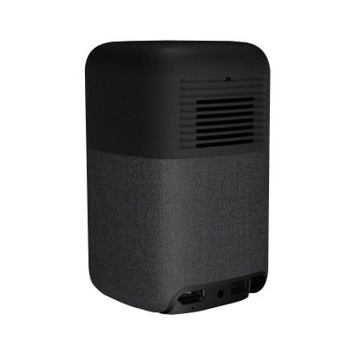 China Entertainment 100 Lumens Projector 1.2m Mini Portable Led Projector 1080p for sale