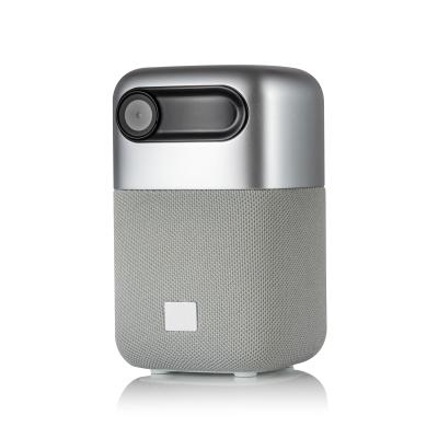 China 100 Lumens Mini Home Theater Projector for sale
