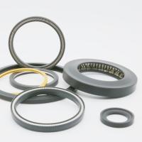 China PTFE PEEK Spring Energized Seals -190°C to 260°C Temperature Range for Petrochemical Semiconductor Applications for sale