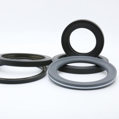 China PTFE PEEK Spring Energized Seals for Food Machinery -100°C to +250°C Temperature Range 90 Shore A Hardness for sale
