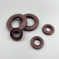 China TC Skeleton Oil Seal FKM Fluororubber Double Lip High Temperature 240C Water Resistant Shaft Seal for sale