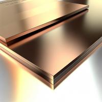 China ASTM B898 Bronze Metal Plate Auto Polished for Titanium and Clad Metal Manufacturing for sale