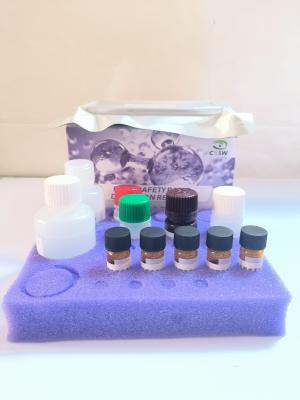 China 96T High Recovery Dibutylphthalate DBP ELISA Test Kit for Rapeseed Oil Soybean Oil Peanut Oil Corn Oil And Blended Oil for sale