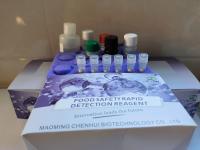 China Okadaic Acid(DSP) ELISA Test Kit  Used For Detecting Mussels for sale