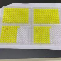 China Bovine Pregnancy (PAG) Rapid Test Kit for sale