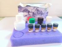China Capsaicin Test Kit For Chili Oil ,Fresh Chili, Dried Chili,Hot Pot Base Seasonings for sale