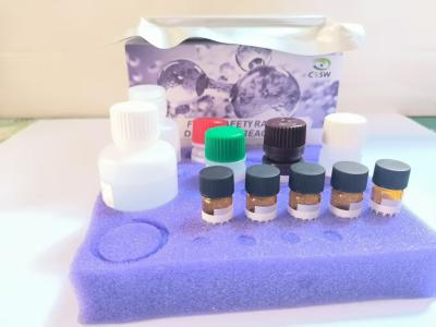 China Capsaicin Test Kit For Chili Oil ,Fresh Chili, Dried Chili,Hot Pot Base Seasonings for sale