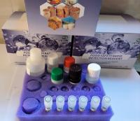 China High Sensitivity (1.5ug/kg) Benzo[a]pyrene ELISA Test Kit ，In Smoked, Roasted, Barbecued Meat Products And Smoked, Roasted, Barbecued Aquatic Products, Etc for sale