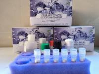 China Boldenone ELISA Test Kit For Plasma  Serum  Milk  Fish Shrimp  Beef  Chicken  Pork  And Urine With High Sensitivity 0.2 Ng/G, Rapid 10-40min, And 96 Tests for sale