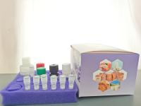 China High Recovery Rate Short Detection Time High Sensitivity Trifluralin ELISA Test Kit for Fish Shrimp for sale