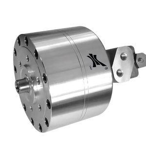China Solid Double Piston Cylinder for sale