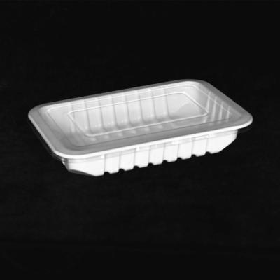 China 260 X 170 X 35MM Food Blister Packaging Tray Square PP Food Container Disposable for sale