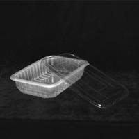 China 260 X 170 X 55 MM Disposable Plastic Tray Square Food Package Container With Lid for sale