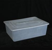 China 390mm Disposable Plastic Box Food Package Disposable Food Container Box for sale