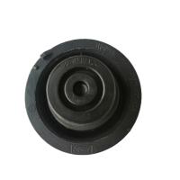 China Ford Coolant Expansion Tank Cap OEM DG93-8101-AA Radiator Cap 1.6L Engine for sale