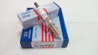 China Auto Engine Spark Plug OEM 18846-11070 for Hyundai Kia 10pcs MOQ High Quality for sale