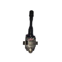 China Auto Engine Ignition Coil for Daihasu OEM 19500-87101 High Quality 12V for sale