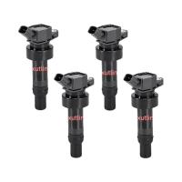 China Auto Engine Ignition Coil for Hyundai Kia OEM 27301-2B110 27301-2B100 12V for sale