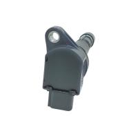 China Auto Engine Ignition Coil for Honda Civic Accord CR-V Integra 2.0L 2.4L OEM 30520PNA007 for sale