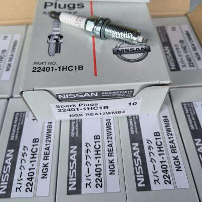 China Spare Parts Engine Fuel Filter for Nissan OEM 22401-1HC1B High Quality 6 Months Warranty for sale