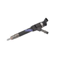 China Common Rail Fuel Injector WE01-13-H50A 0445110249 for Ford Ranger Mazda BT50 3.0L 2009-2013 for sale