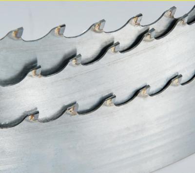 China TCT Carbide Wood Saw Blade High Frequency Welded 0.65-1.25mm Width for Hardwood for sale