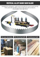 China TCT Carbide Wood Saw Blade for Hardwood Cutting 0.65mm to 1.25mm Thickness Custom Sizes for sale