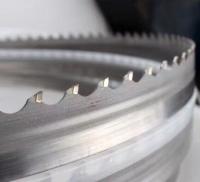 China High Frequency Welded TCT Carbide Tipped Bandsaw Blades 30mm to 125mm Width for Wood Cutting for sale