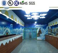 China Snow Themed Kids Indoor Parks Slide Indoor Amusement Equipment OEM for sale