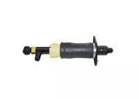 China Audi A6 C5 Rear Left Air Suspension Strut 4Z7616051A for sale