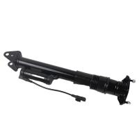 China 2005- Mercedes Benz R CLASS W251 Rear Suspension Shock A2513201931 for sale