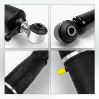China Cadillac Rear Air Suspension Shock 25979393  22187156 25979394 for sale