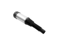 China W220 Air Spring Rear for sale