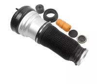 China W220 Air Spring Front for sale
